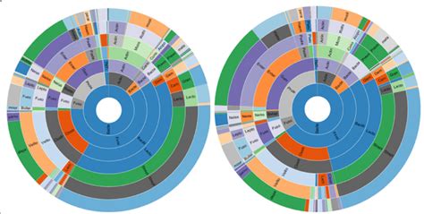 Sunburst Representation Of The Overall Distribution Of The Small Download Scientific Diagram