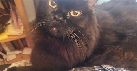 Staring Into The Void Album On Imgur