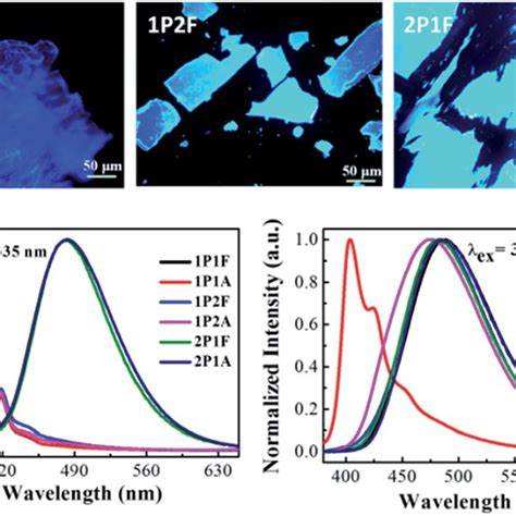 Guoqing Zhang Professor Full Phd University Of Science And Technology Of China Hefei