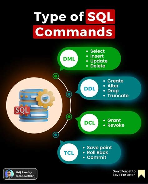 Web Design Application Designer‐quindio Learn About The Different