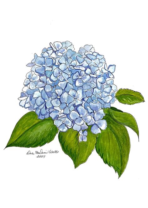 This Item Is Unavailable Etsy Dorm Art Hydrangea Print Watercolor Art