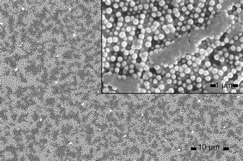Bio Inspired Antimicrobial Surfaces Fabricated By Glancing Angle