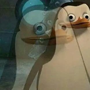 Puedo Adivinar En Qué Mes Naciste Solo Con Tu Reacción A Estos Mensajes
