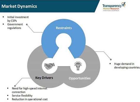 Digital Loop Carrier System Market Trends Forecast By