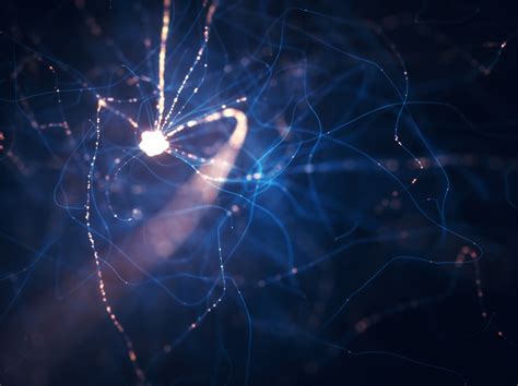 new theories expand cognition to fungi research outreach