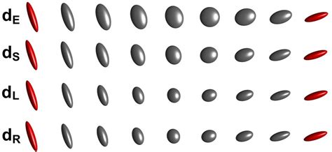 Geodesic Interpolations Between Two Anisotropic Diffusion Tensors In Download Scientific