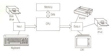 Perspective MICROPROCESSOR And SAP