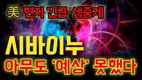 시바이누 코인 美현지 긴급 생중계 아무도 예상 못했다 시바이누 시바이누코인 파이 비트토렌트 비트코인