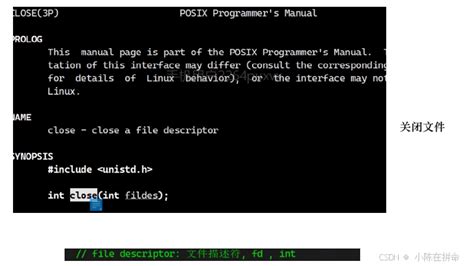 Linux系统编程:基础iolinux 菜鸟驿站 Csdn博客 Linux系统编程:基础iolinux 菜鸟驿站 Csdn博客