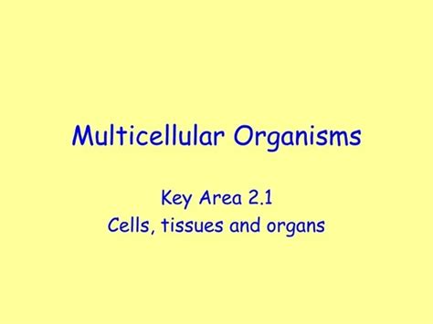 PPT Multicellular Organisms PowerPoint Presentation Free Download ID 2661953