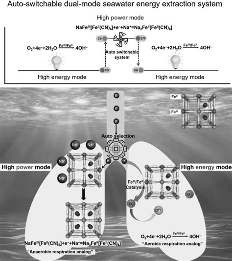 Illustration Of A Dual‐mode Seawater Energy Extraction System By Download Scientific Diagram