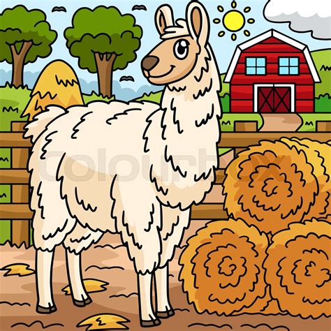 Lama Kontur Bild Stock Vektor Colourbox