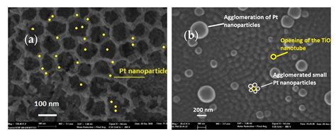 Synthesis And Characterization Of Tio2 Nanotubes Tio2 Nts Decorated With Platine Nanoparticles