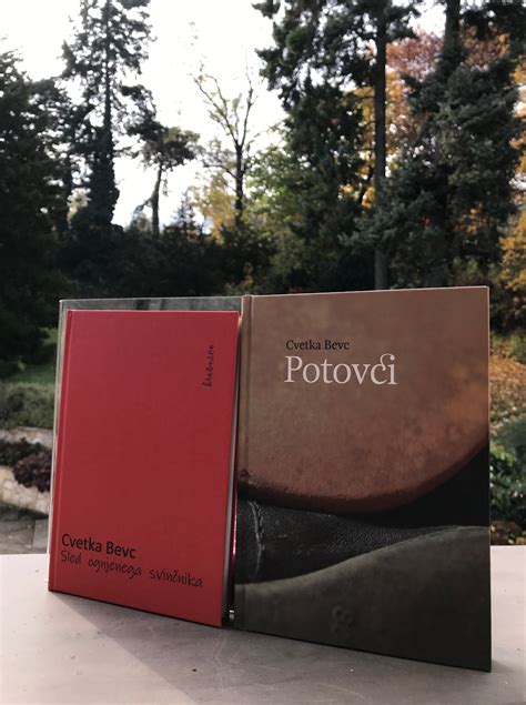 Literarni Večer Z Avtorico Cvetko Bevc Gov Si
