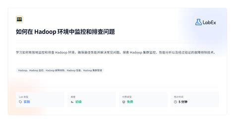 如何在 Hadoop 环境中监控和排查问题 Labex