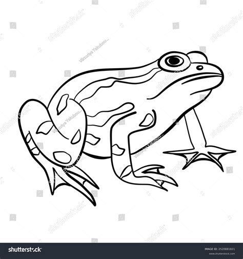 Realistic Frog Outline Flat Vector Illustration Stock Vector Royalty