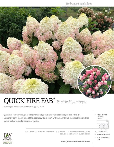 Product Waldbart And Sons Nursery Garden Center Florissant Mo Dorsey