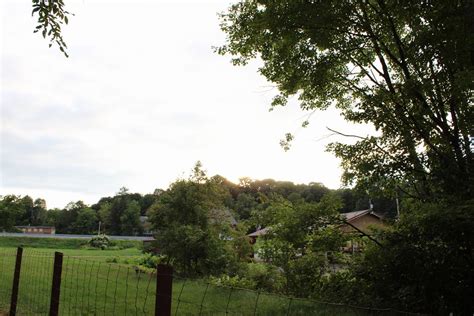 Week 1 Assignment Flickr