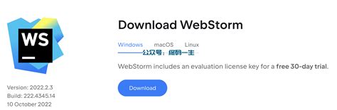 Webstorm 2022 2 3 永久激活教程 破解教程 专属激活码（亲测） Ide激活网