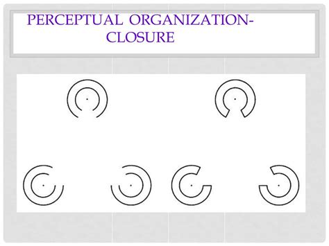 Ppt Understanding Sensation Perception And Consciousness Key