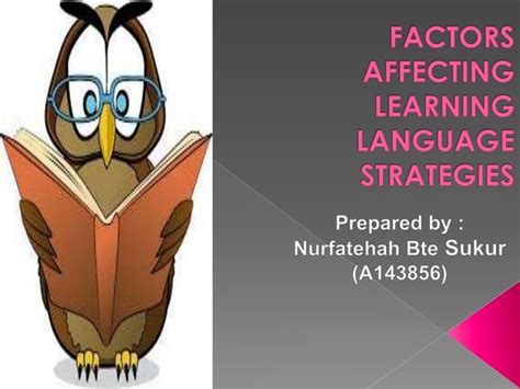 Factors Affecting Learning Language Strategies Ppt