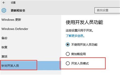 win10如何开启开发者模式 老山桃