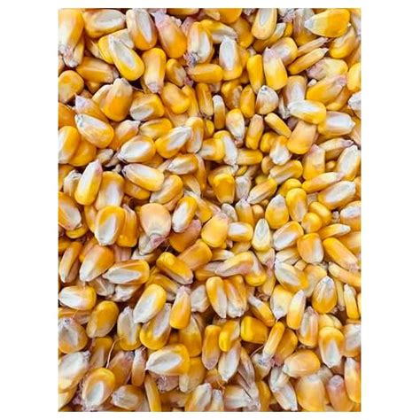 How To Cook Corn Kernels On The Stove Metro Cooking Dallas