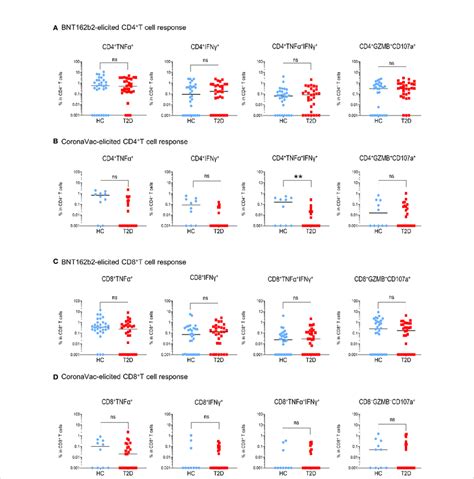 Extent Of Memory T Cell Responses 3 6 Months Following Bnt162b2 And Download Scientific Diagram