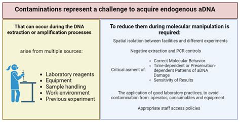 Contamination Sources And Guidelines For Minimizing Negative Impact