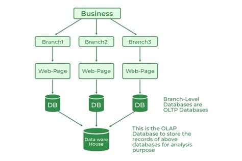 Understanding Oltp And Olap For Effective Data Management