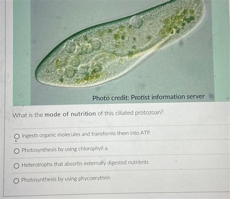 Answered Photo Credit Protist Information Server What Is The Mode Of