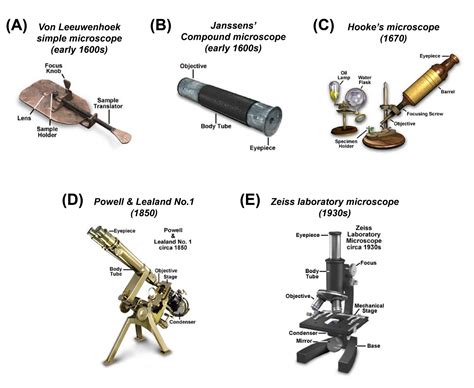 Different Types Of Microscopes Light Microscope Electron Microscope