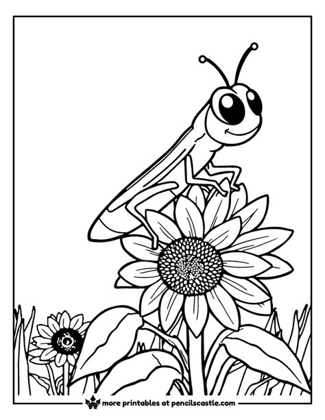 Grasshopper Printable Coloring Page 2025 Grasshopper Printable Coloring Page 2025