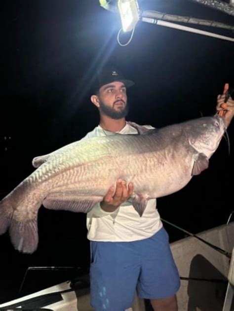 Massive Blue Catfish Breaks State Fishing Record By 4 Ounces - FishRook