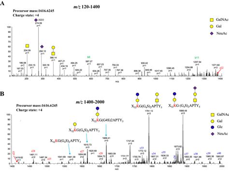 Ethcd Ms Ms Spectrum Of Peptide X 32 Kg G 4 S 2 Apty 5 With An Download Scientific Diagram