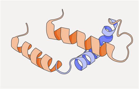 Proteomics Profile The Proteome With Ngs
