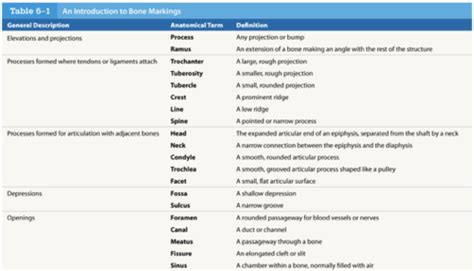 Lecture 2 Exam Flashcards Quizlet