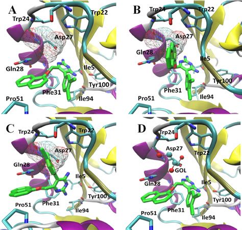 The Binding Poses Of Compound 2 A Pose 1 B Pose 2 C Pose Download Scientific