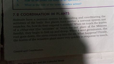 5 What Is The Role Of The Brain In Reflex Action 7 2 Coordination In Pl