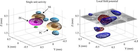 Example Of The Csd Distributions Estimated For Single Unit Left Panel Download Scientific