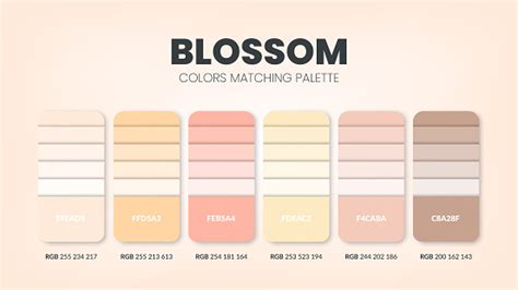 Blossom 색상 테마 컬렉션의 색상 팔레트 색 구성표 또는 색 차트 서식 파일입니다 Rgb Hsl 및 Hex 코드의 색상 조합 세트 아티스트 패션 홈 디자인 또는 웹