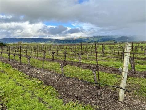 A Guide To Things To Do In San Luis Obispo California
