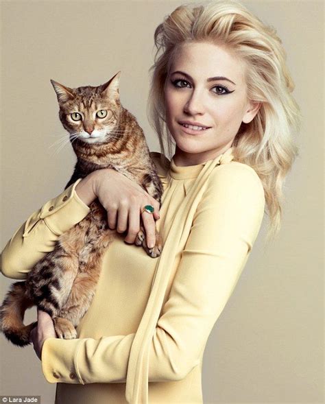 Pin By Mónica GonzÁlez On One Cats Cat Personalities Pixie Lott