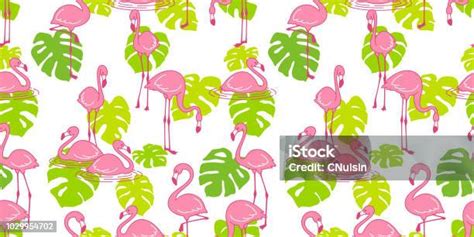 플라밍고 원활한 패턴 벡터 핑크 플라밍고 이국적인 조류 Monstera 잎 열 대 여름 스카프 절연 타일 배경 반복 벽지 만화 일러스트 레이 션 0명에 대한 스톡 벡터 아트