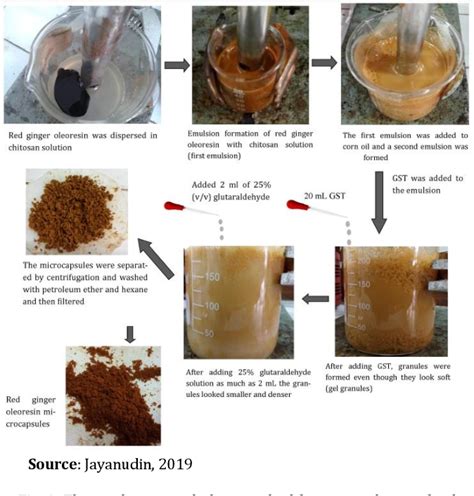Figure 2 From A Review Of Encapsulation Using Emulsion Crosslinking Method Semantic Scholar