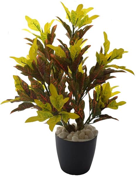 Croton Plant Artificial Plants