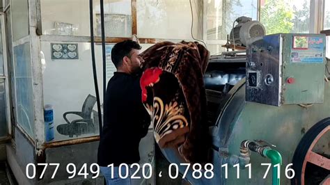 قالین شوئی پاکیزه نوین