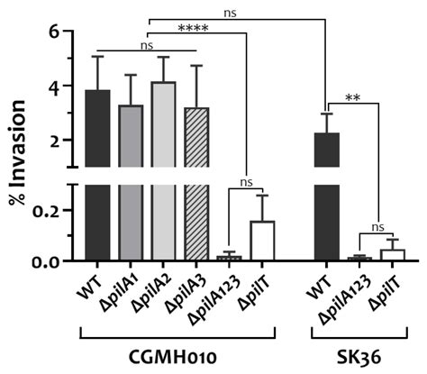 Functional Analysis Of The Major Pilin Proteins Of Type Iv Pili In Streptococcus Sanguinis Cgmh010
