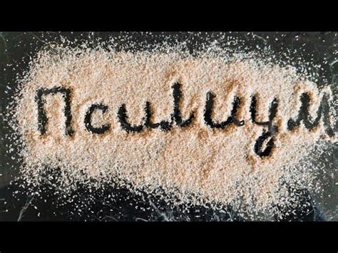 Псиллиум что это? Полезные свойства псилиума / Psyllium husk - YouTube