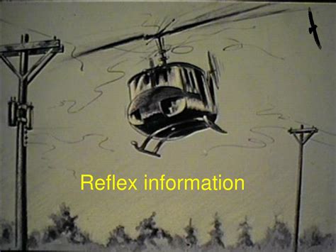 PPT SPATIAL DISORIENTATION PowerPoint Presentation Free Download ID